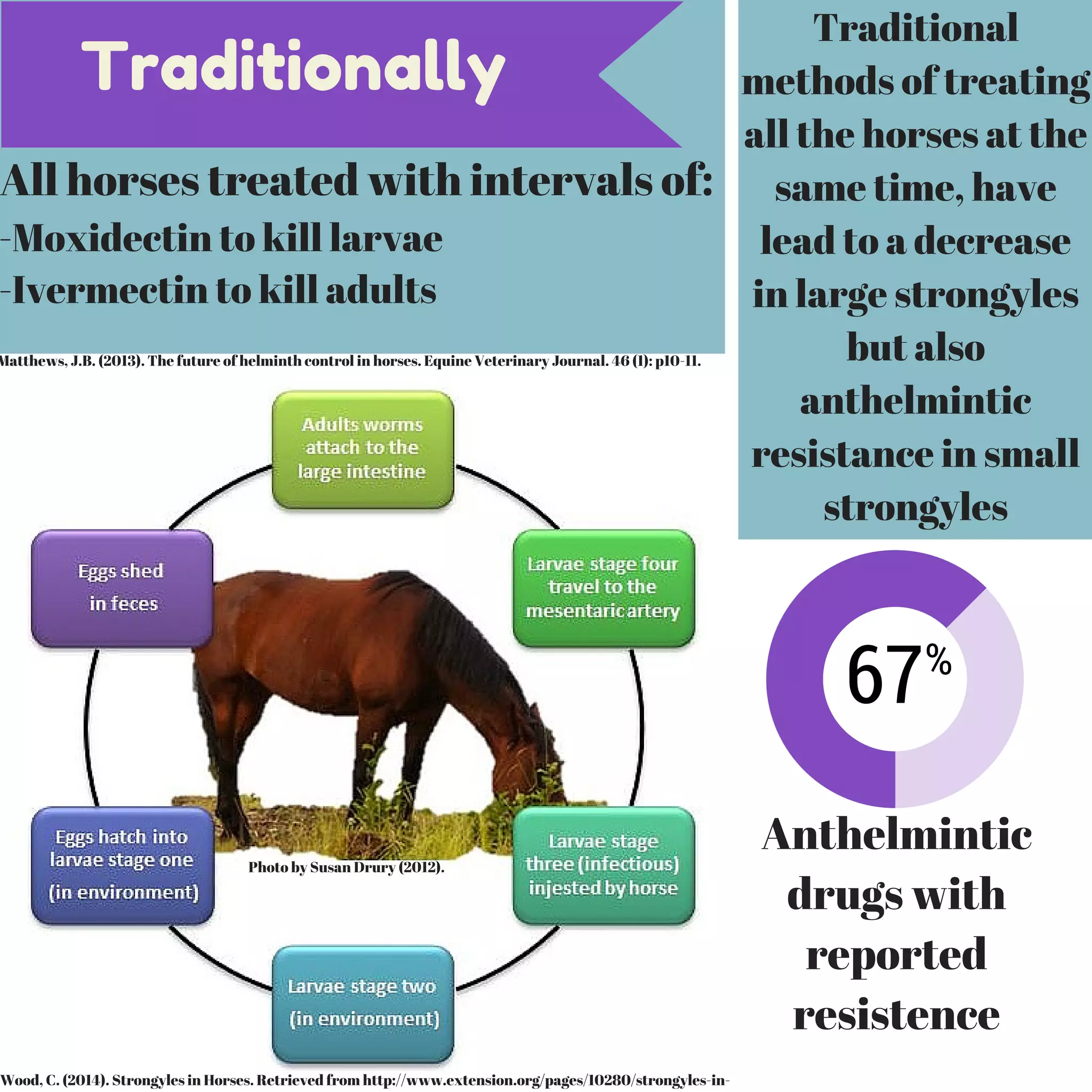 Strongyle Control in Horses | PDF