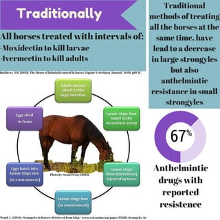 Horse Strongyles
