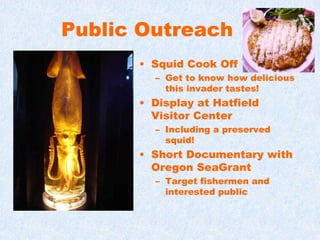 A cooperative effort to track the Humboldt squid invasion in Oregon | PPTX