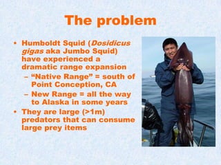 A cooperative effort to track the Humboldt squid invasion in Oregon | PPTX