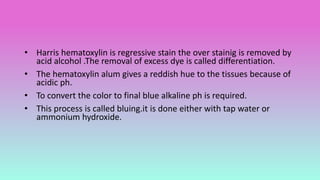 H & e preparation and staining | PPT