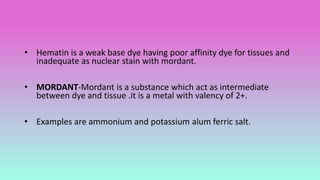 H & e preparation and staining | PPT