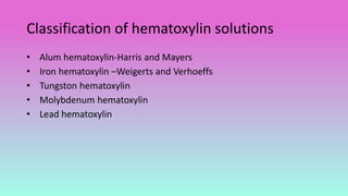 H & e preparation and staining | PPT