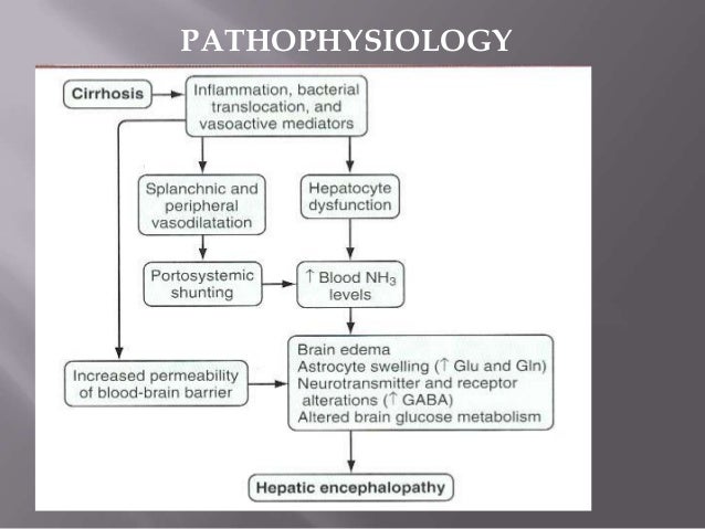 Hepatic encephalopathy presentation latest aspect