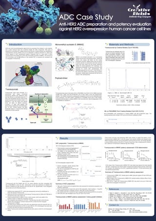 Anti-HER2 ADC preparation and potency evaluation against HER2 ...