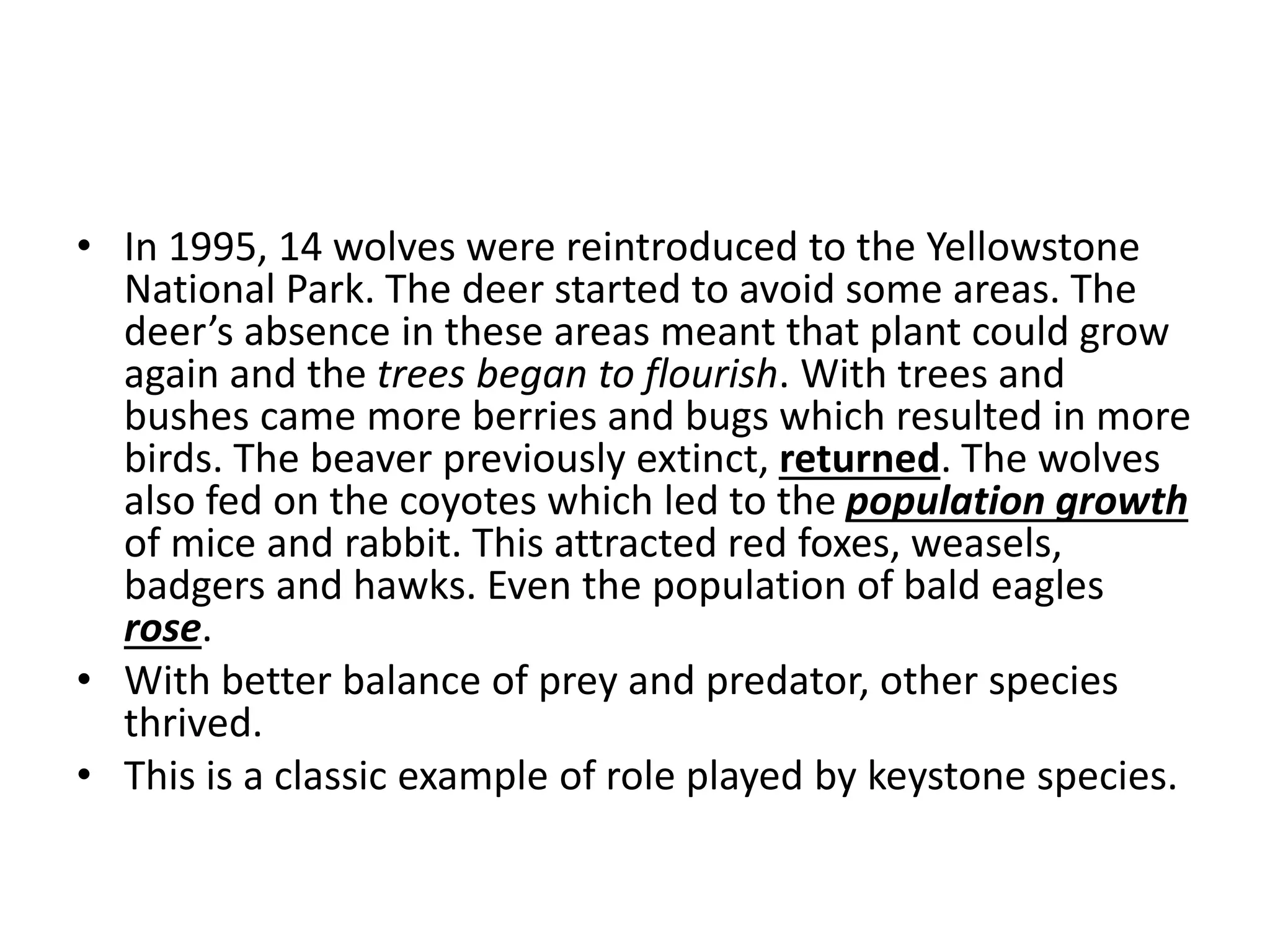 Keystone Species | PPTX