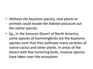 Keystone Species | PPTX