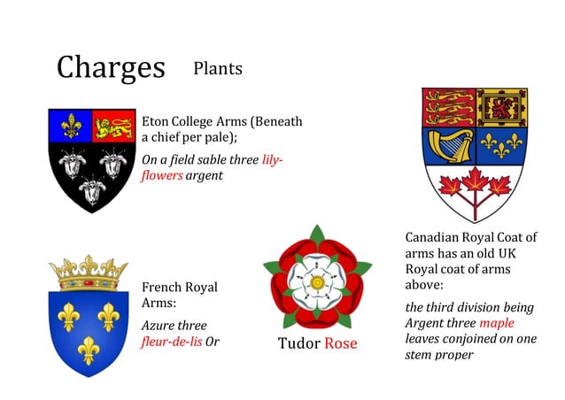 Heraldry display | DOCX