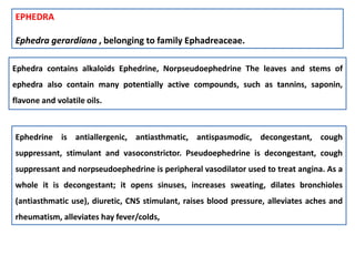 Herbal drug and herb-food interactions | PPT