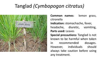 Herbal medicine | PPT