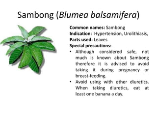 Herbal medicine | PPTX