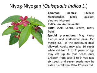 Herbal medicine | PPTX