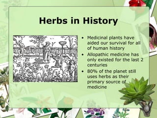 Herbal Medicine-Making 101 | PPTX