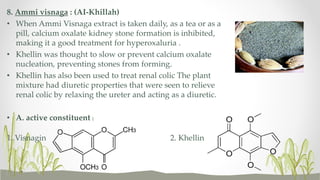 Herbal treatment for kidney stones | PPTX