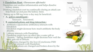 Herbal treatment for kidney stones | PPTX