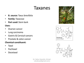 Herbal anticancer drugs | PPTX
