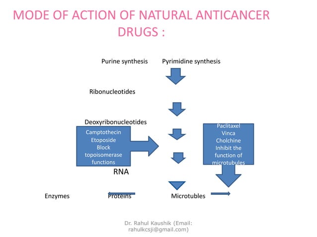 Herbal anticancer drugs | PPT