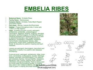 Herbal Antidiabetics | PPTX