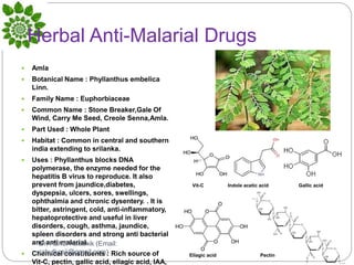 Herbal Antimalarials | PPT