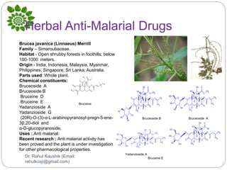 Herbal Antimalarials | PPTX