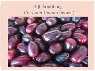 HERBAL BLOK 6 (DM,ht,hiperlipid )fix.pptx