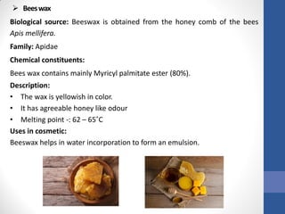 Herbal Cosmetics Herbal Drug Technology B Pharmacy | PDF
