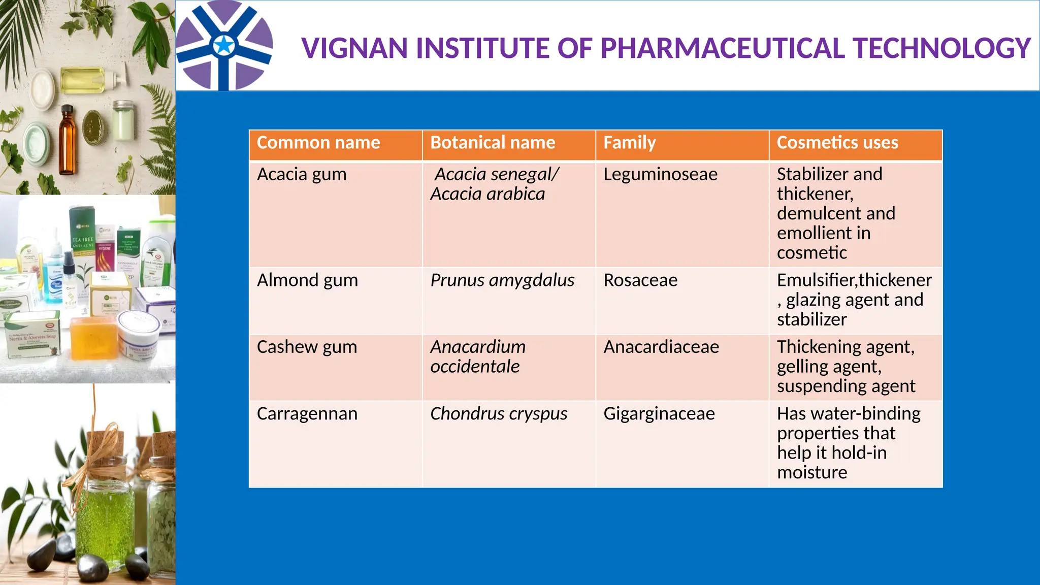 Herbal Cosmetics advantages and disadvantages | PPTX