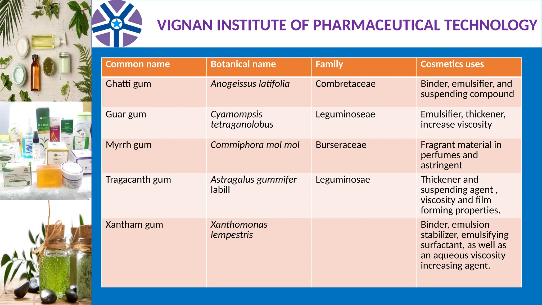 Herbal Cosmetics advantages and disadvantages | PPTX
