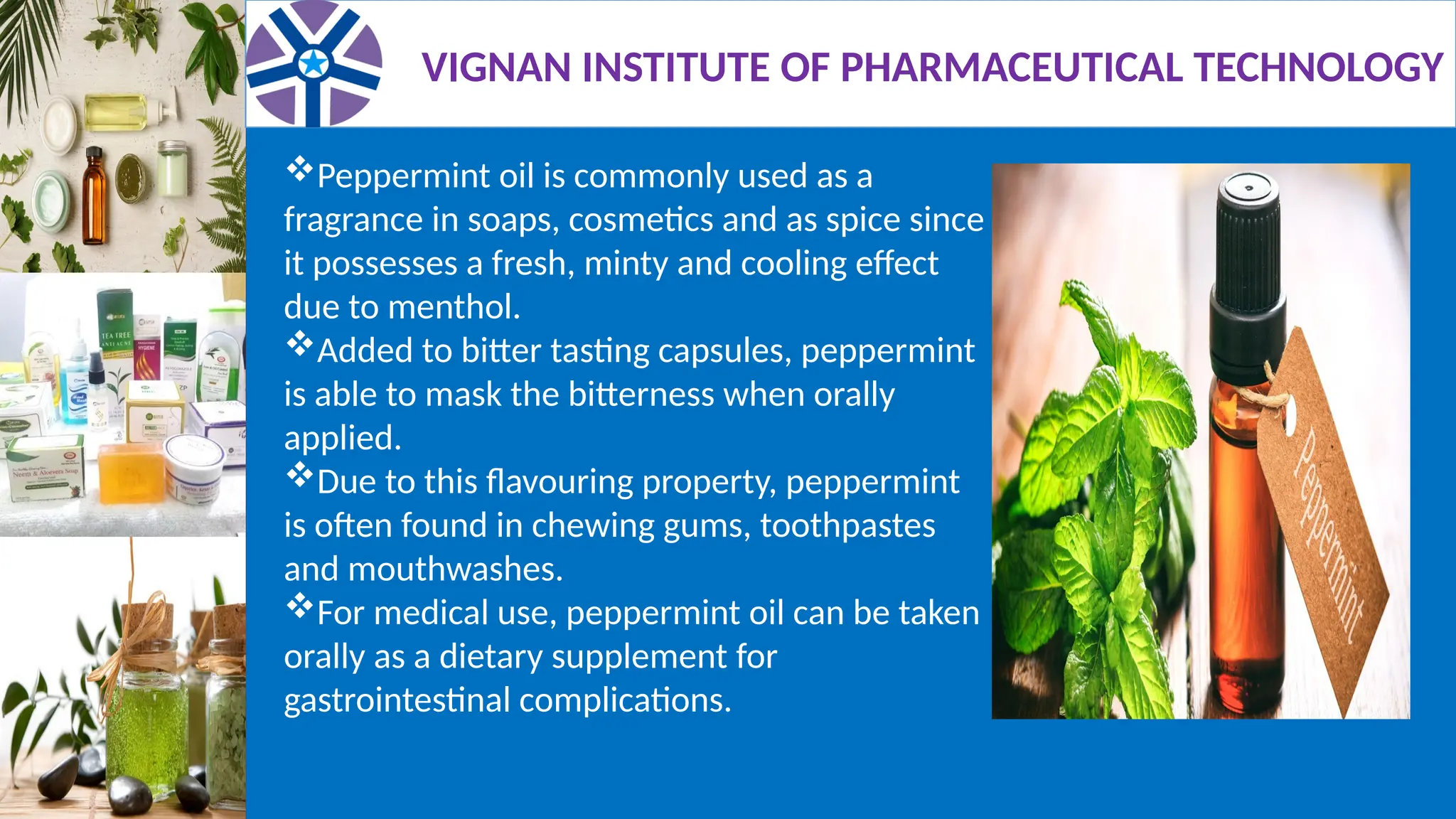 Herbal Cosmetics advantages and disadvantages | PPTX