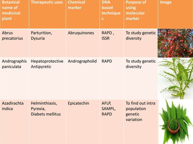 MARKER COMPOUNDS | PPTX