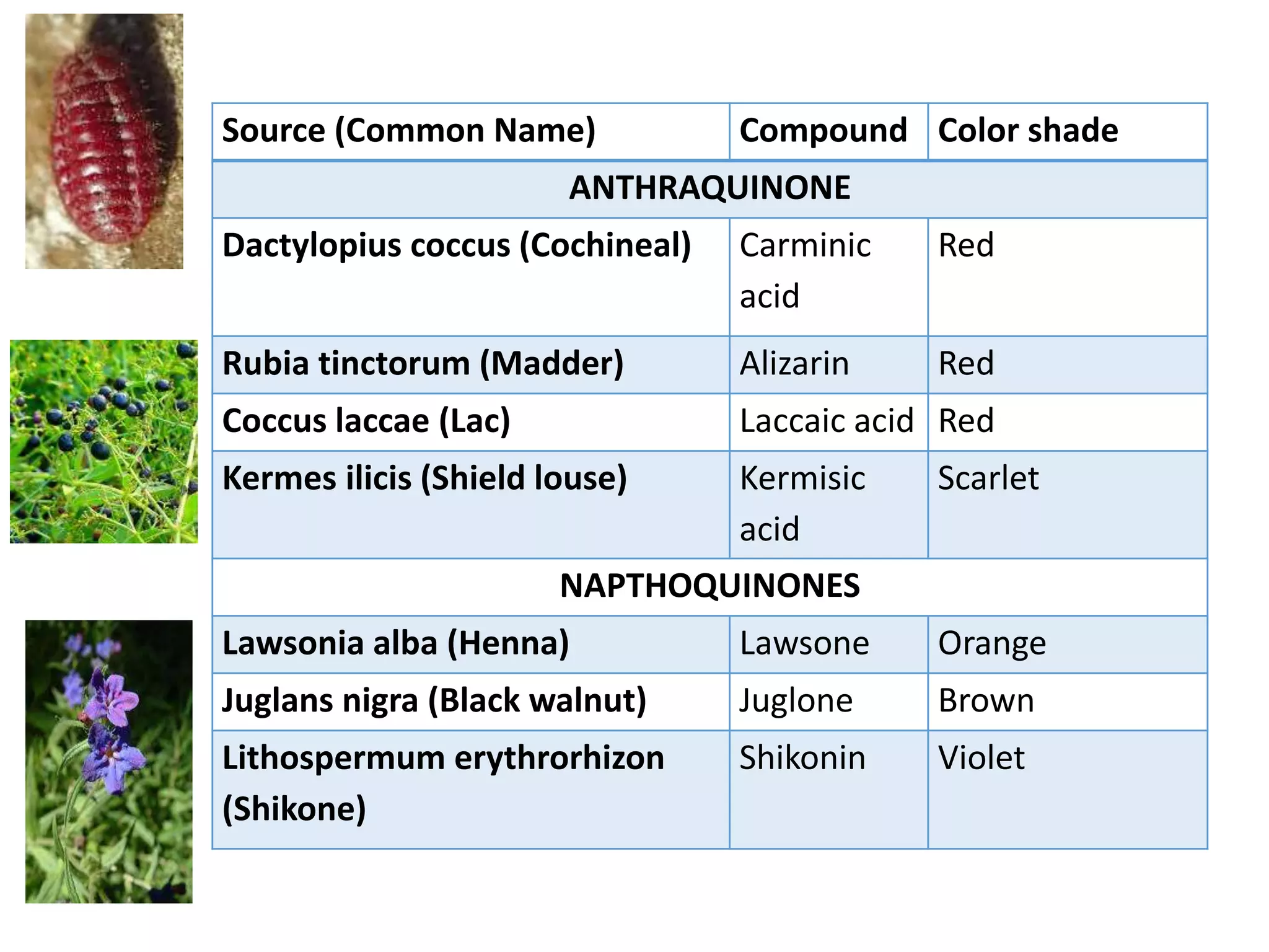 HERBAL EXCIPIENTS & Colorants.pptx
