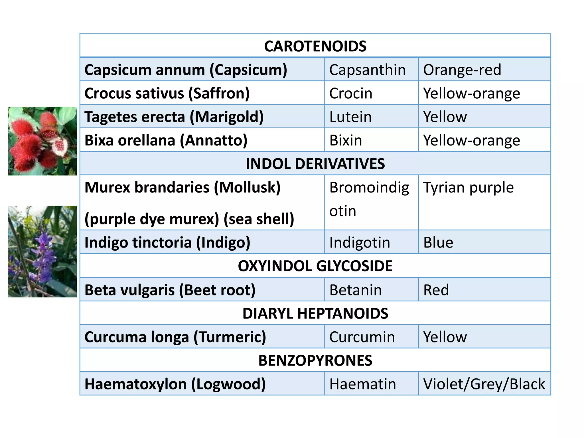 HERBAL EXCIPIENTS & Colorants.pptx