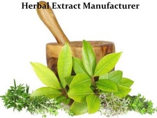 Natural herbal extract manufacturer – Navchetanakendra | PPTX