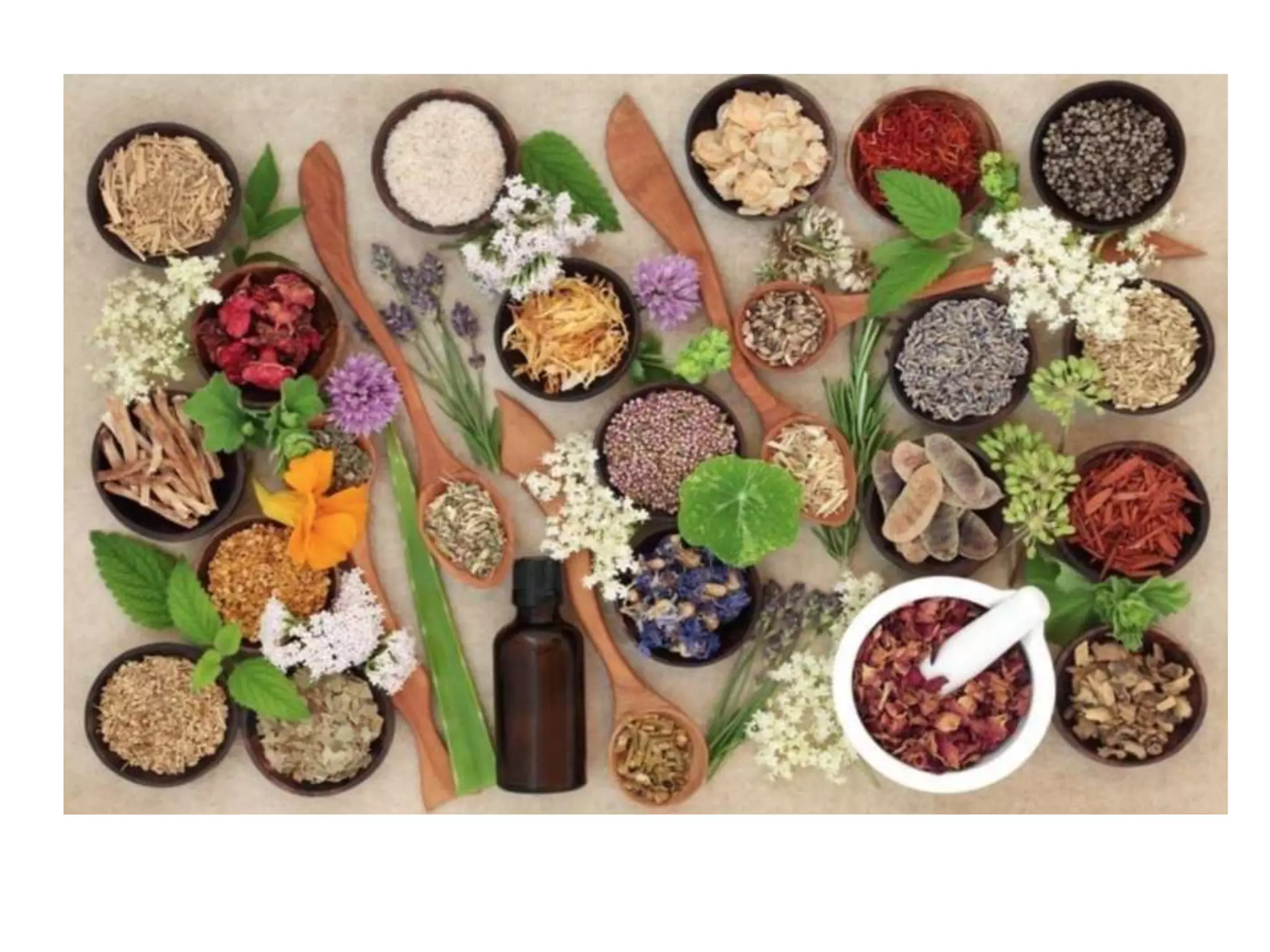 Herbal formulations | PPTX