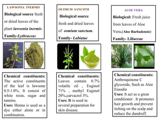 Herbal Hair Dye | PPT