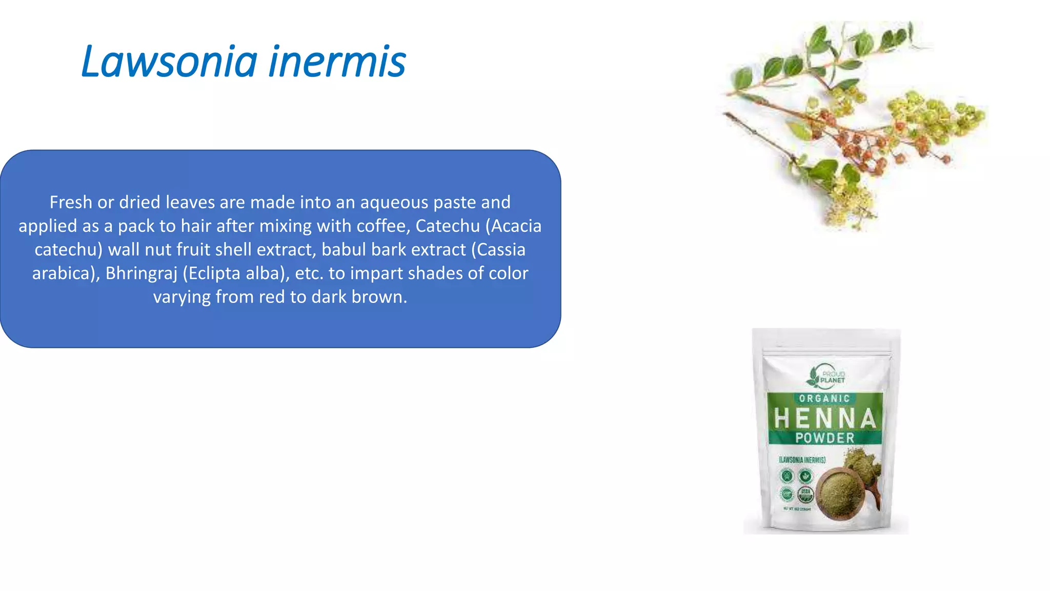 Herbal hair oil( herbal cosmetics), pharmacognosy | PPTX