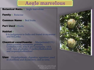 Herbal hypolipidemic drugs | PPTX