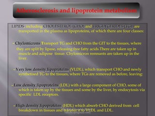 Herbal hypolipidemic drugs | PPTX