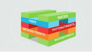 Herbalife global nutrition philosophy | PPTX