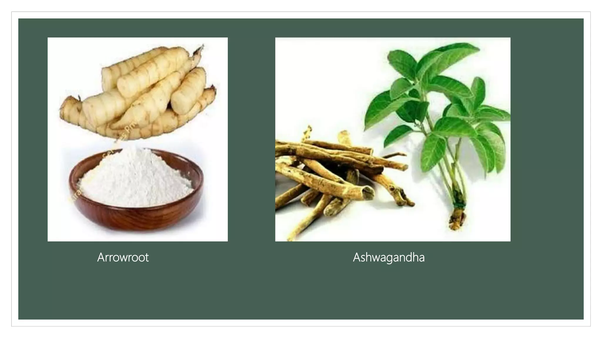 Herbal ingredients in skin care | PPTX