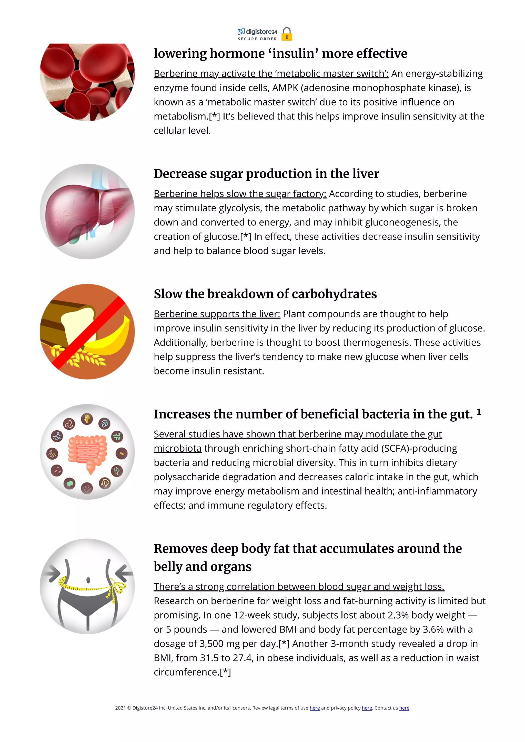 INSULIN HERB BERBERINE FOR DIABETES | PDF