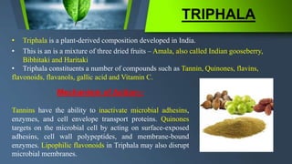 Herbal Irrigants .pptx
