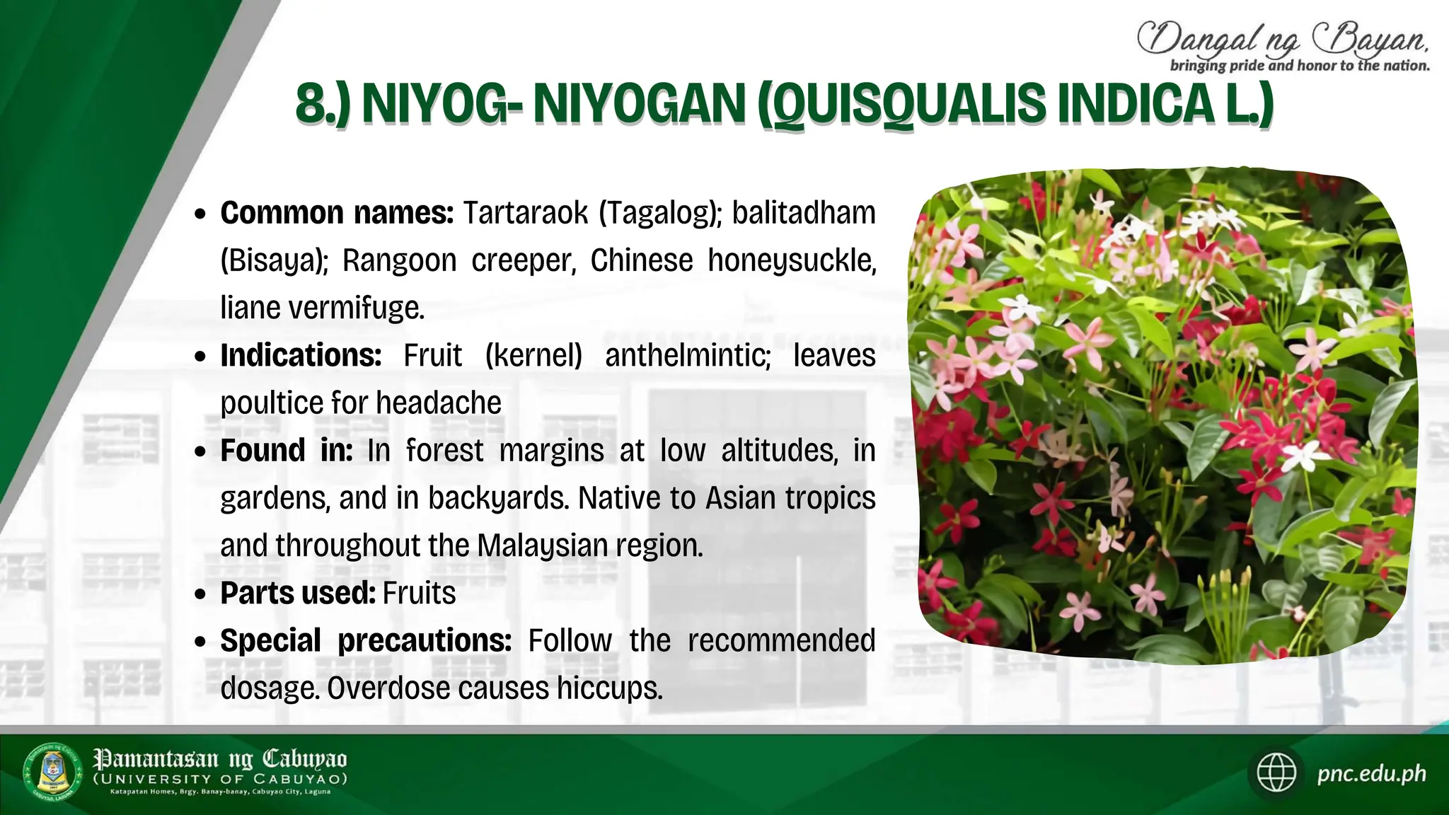 HERBAL MEDICINE.pdf