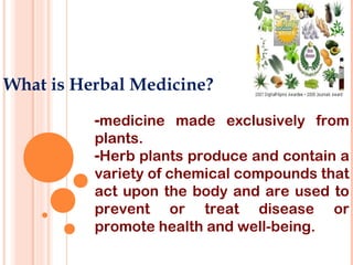Herbal Medicine | PPT