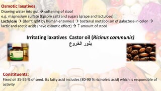 Herbal medicine digestive system ii | PPTX