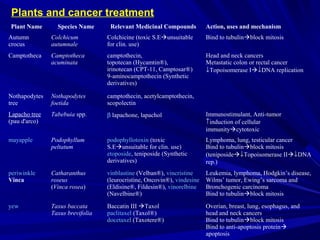 Herbal medicine malignant diseases and skin diseases | PPT