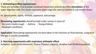 Herbal medicine respiratory system | PPTX