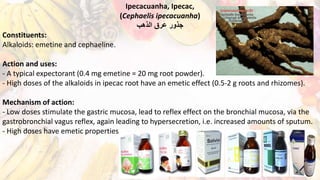 Herbal medicine respiratory system | PPTX
