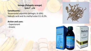 Herbal medicine respiratory system | PPTX