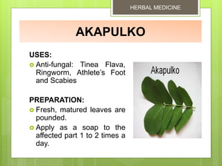 Herbal Medicines_Legor R. Martinez.pptx